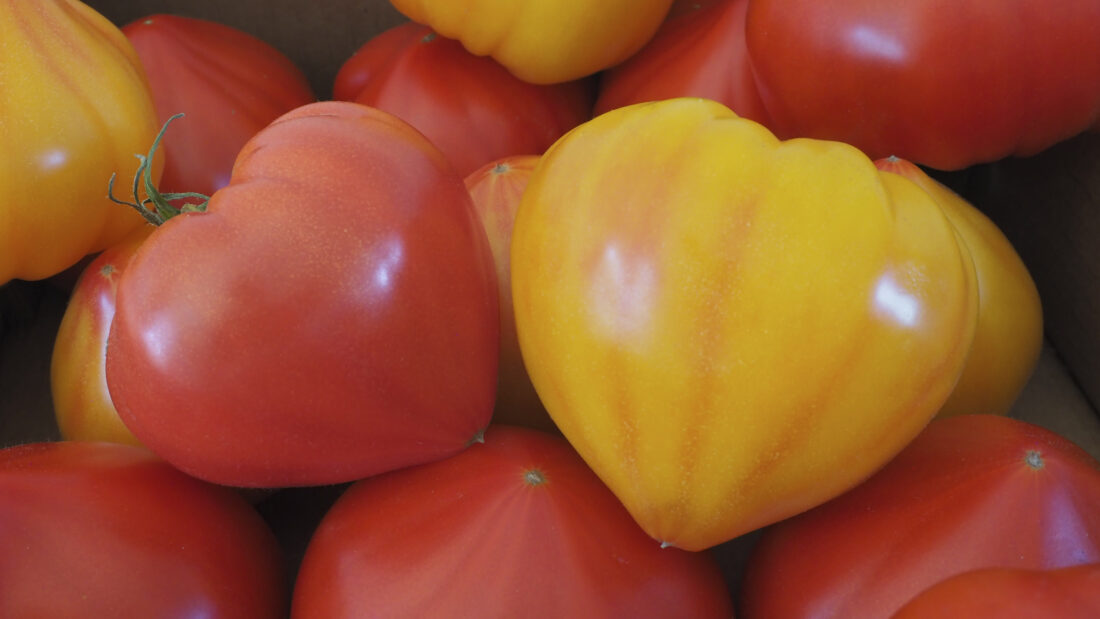 New varieties of tried-and-true vegetables invite gardeners to ...